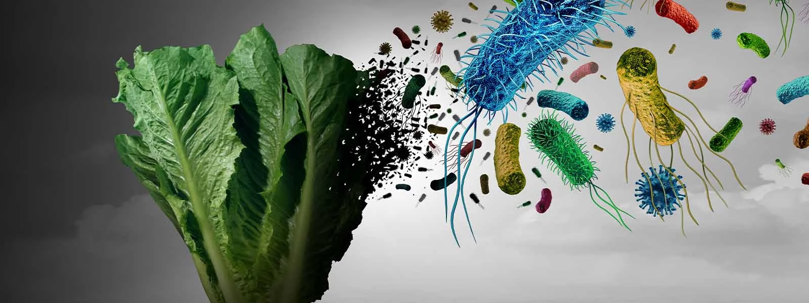 Legal Claims for Food Contamination and Foodborne Illness | McEldrew ...
