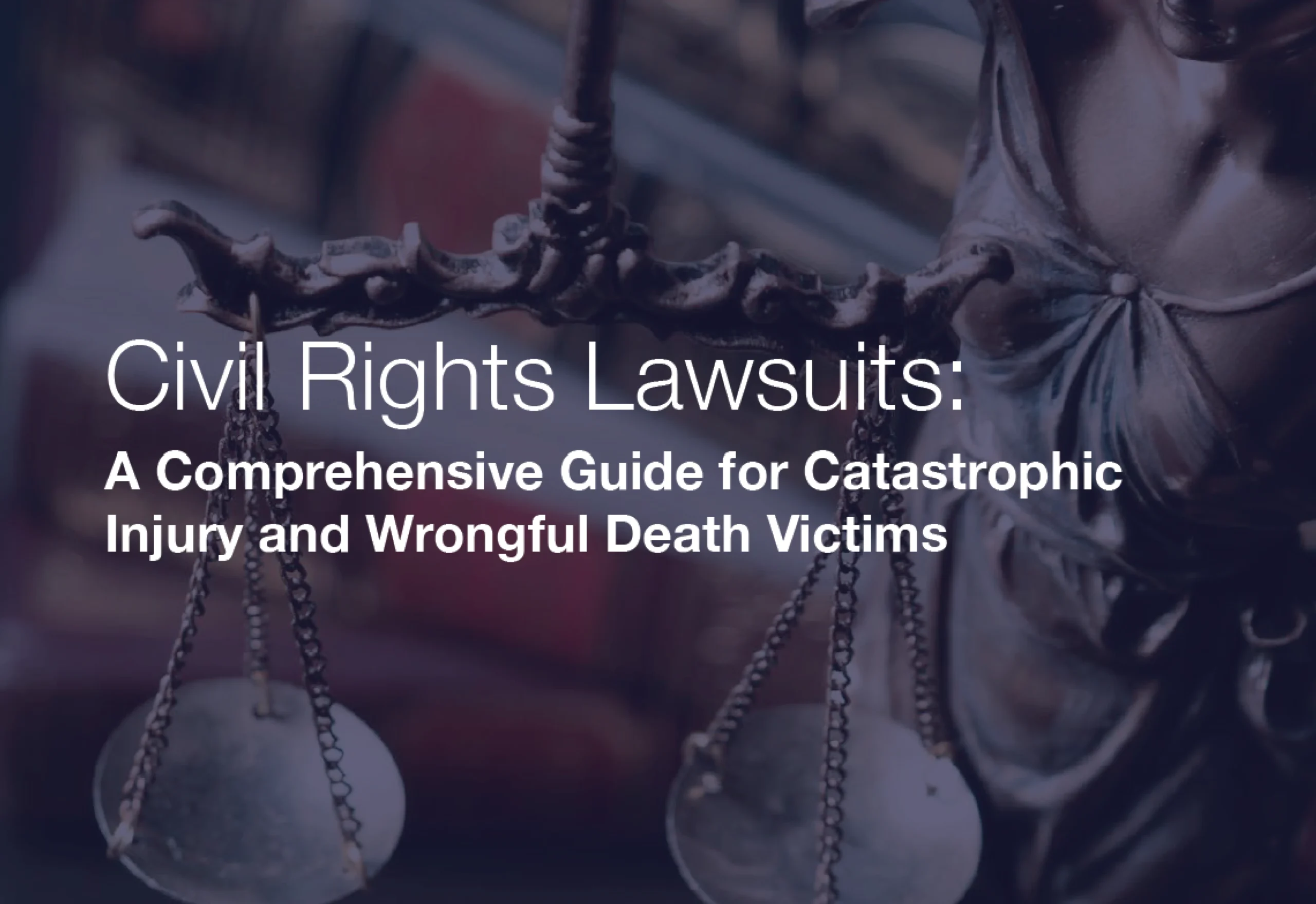 Resource Guide: Civil Rights | McEldrew Purtell